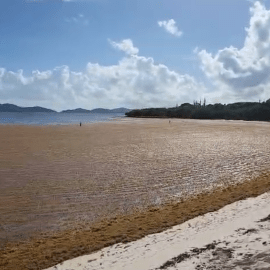 How to Get to Magens Bay from Your Cruise Ship or Resort – Magens Bay ...